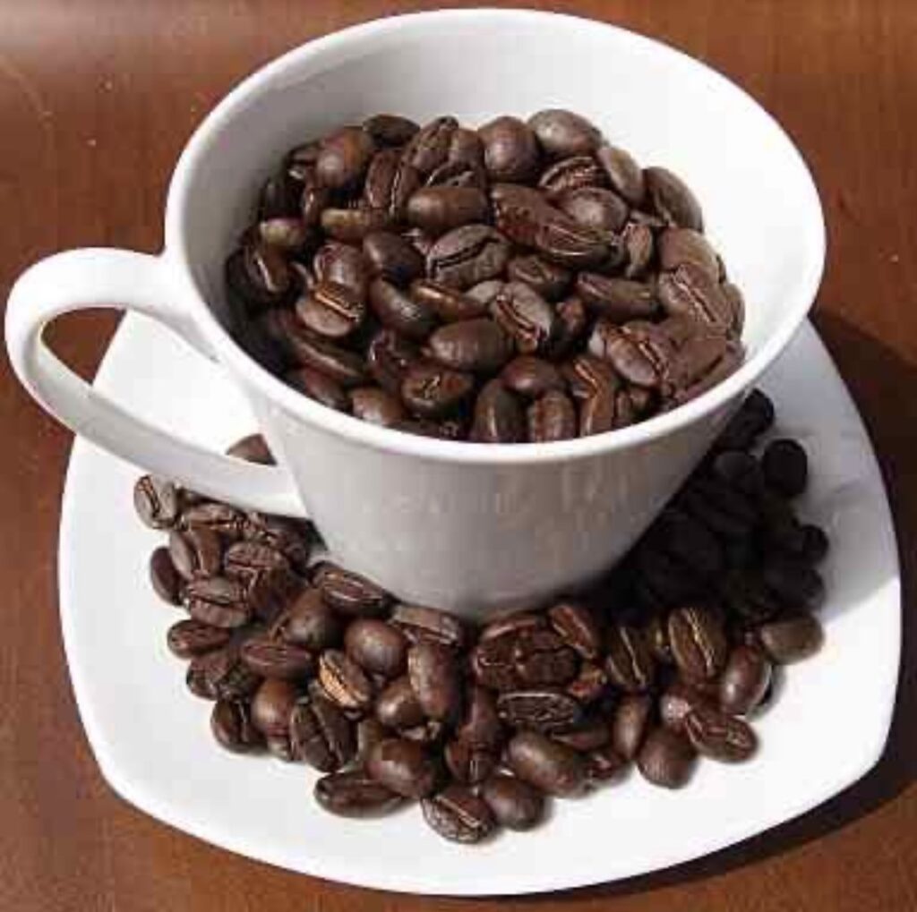 LEYTONS COFFEE ROASTER – ナウナビ